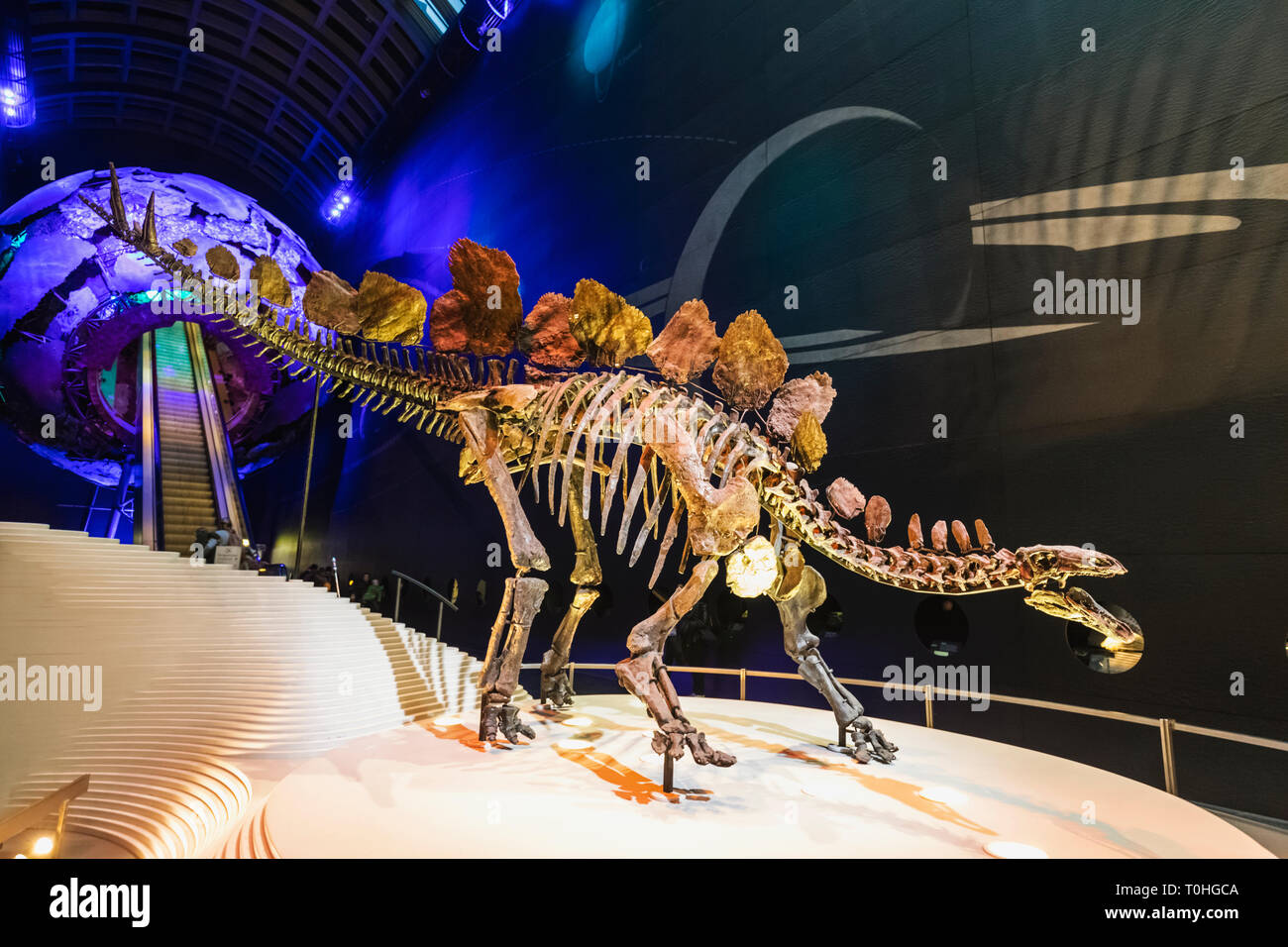 London Natural History Museum Earth Hall Stock Photos & London Natural ...