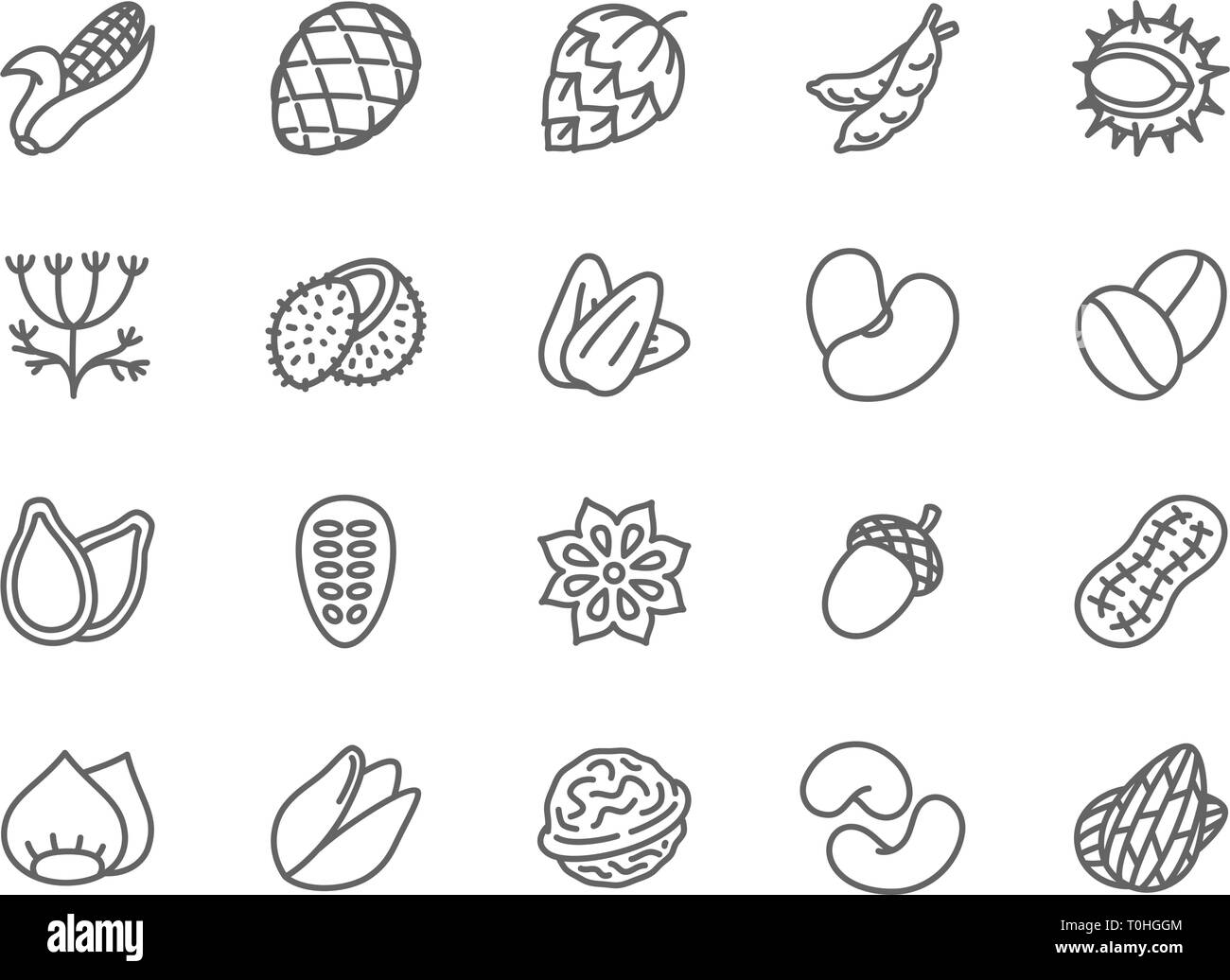 Set of Nuts, Seeds and Vegetables Line Icons. Pack of 48x48 Pixel Icons ...