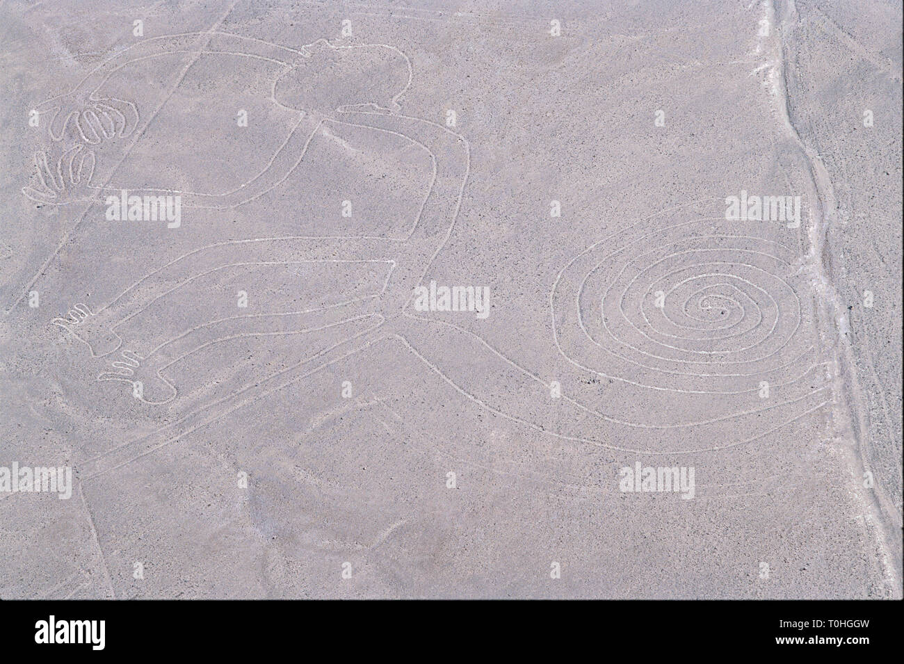 The Monkey, Nazca Lines, Ica, Peru, 2015. Creator: Luis Rosendo Stock ...