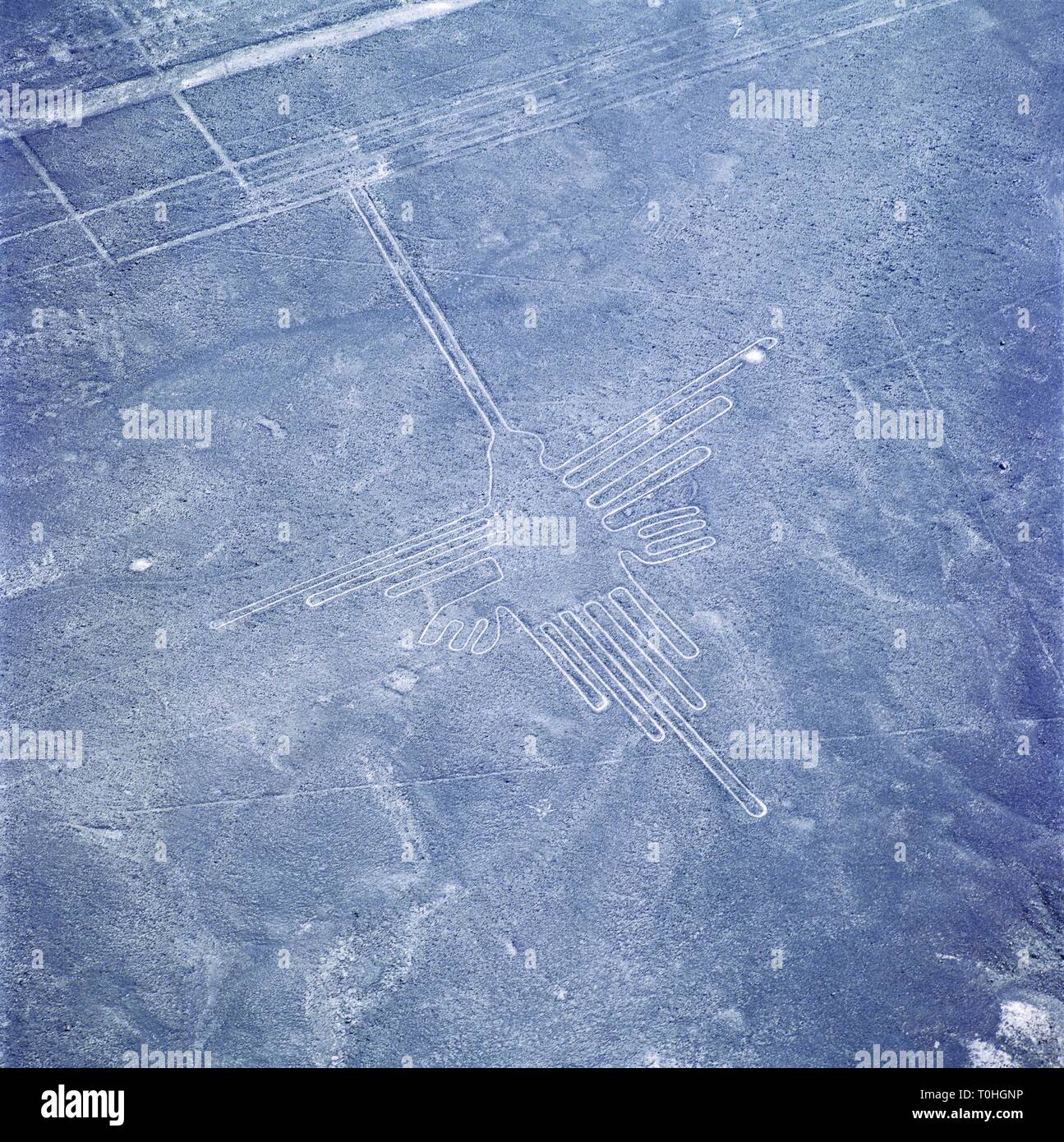 The Hummingbird, Nazca Lines, Ica, Peru, 2015. Creator: Luis Rosendo ...