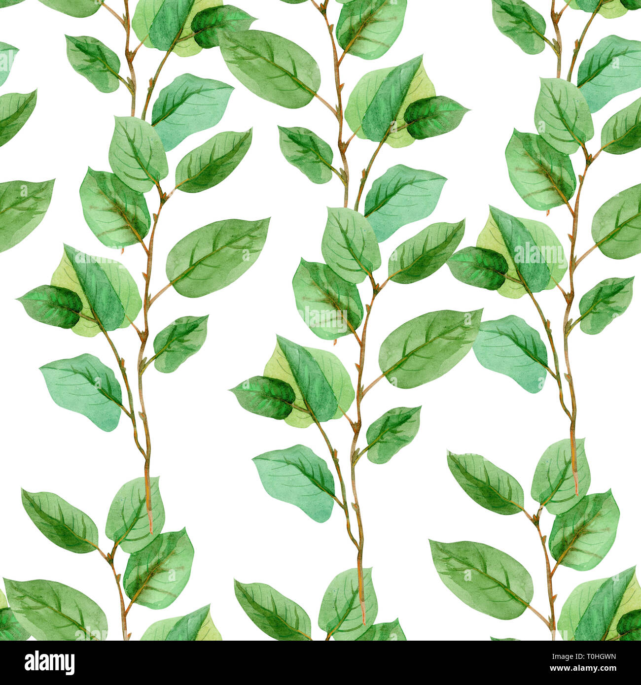 Floral leaves seamless pattern green color on a white background ...