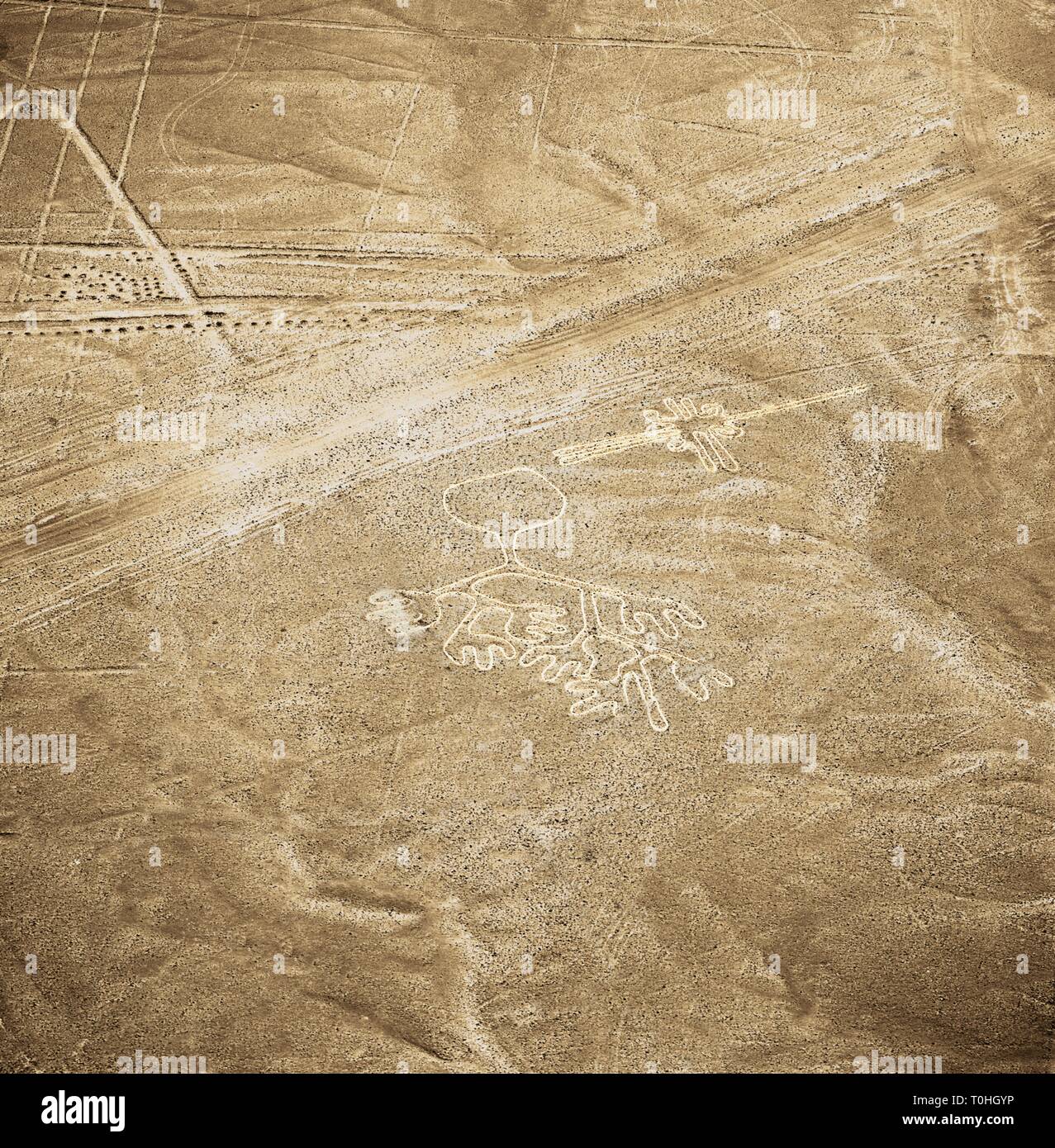 Hands, Nazca Lines, Ica, Peru, 2015. Creator: Luis Rosendo Stock Photo ...