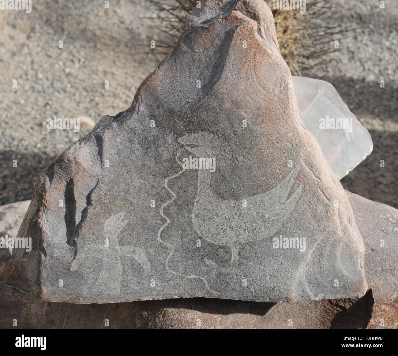 Petroglyphs peru hi-res stock photography and images - Alamy