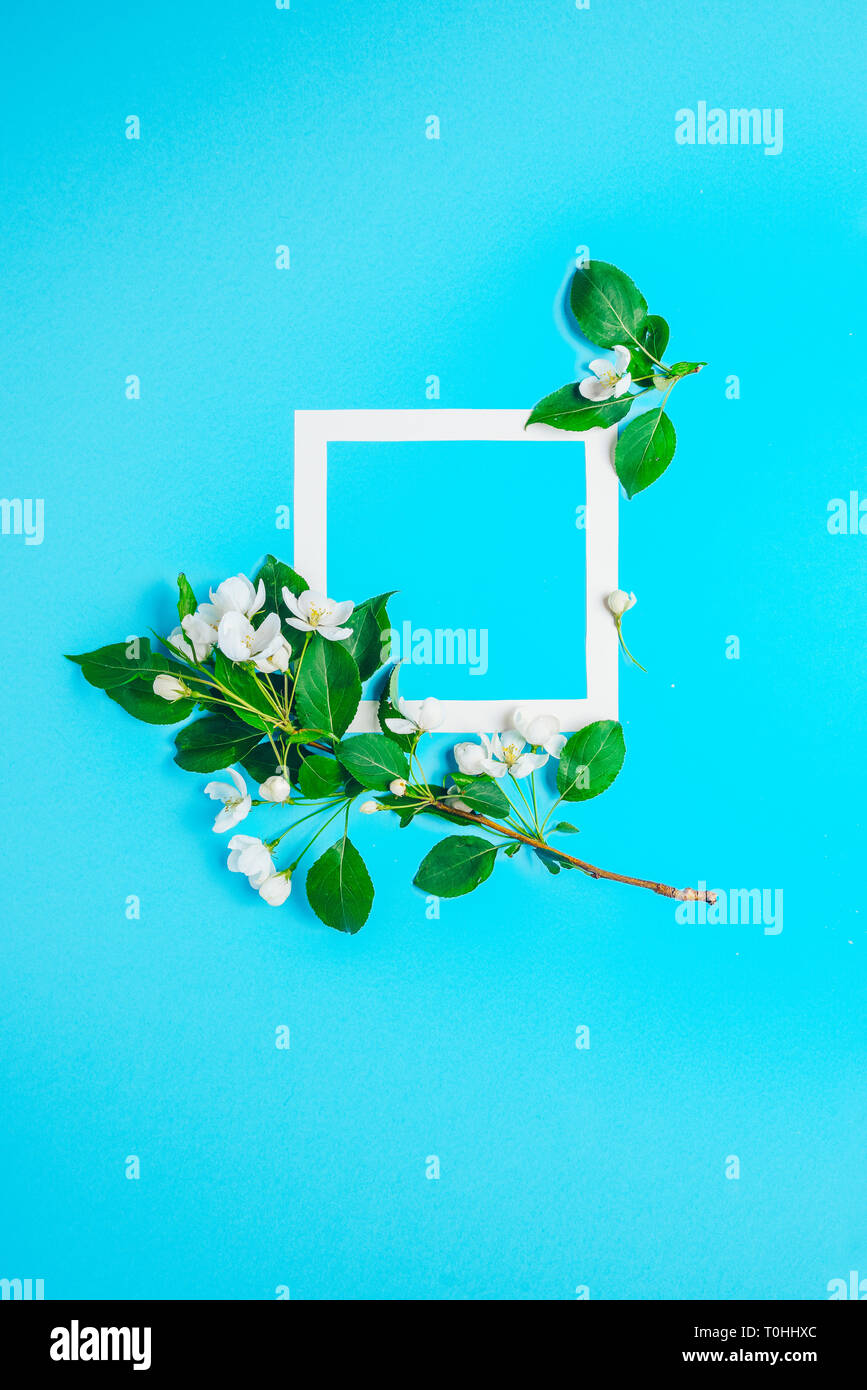 Creative layout with blooming apple tree on a blue background. Flat lay ...