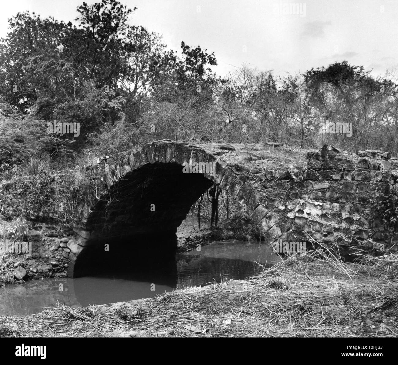 geography / travel, Panama, archeaological, ruin of a Spanish bridge ...