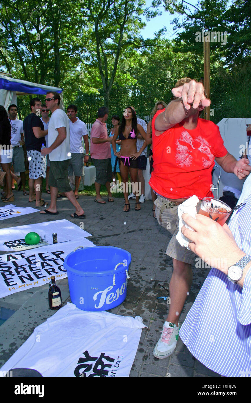 Hamptons party atmosphere hi-res stock photography and images - Alamy