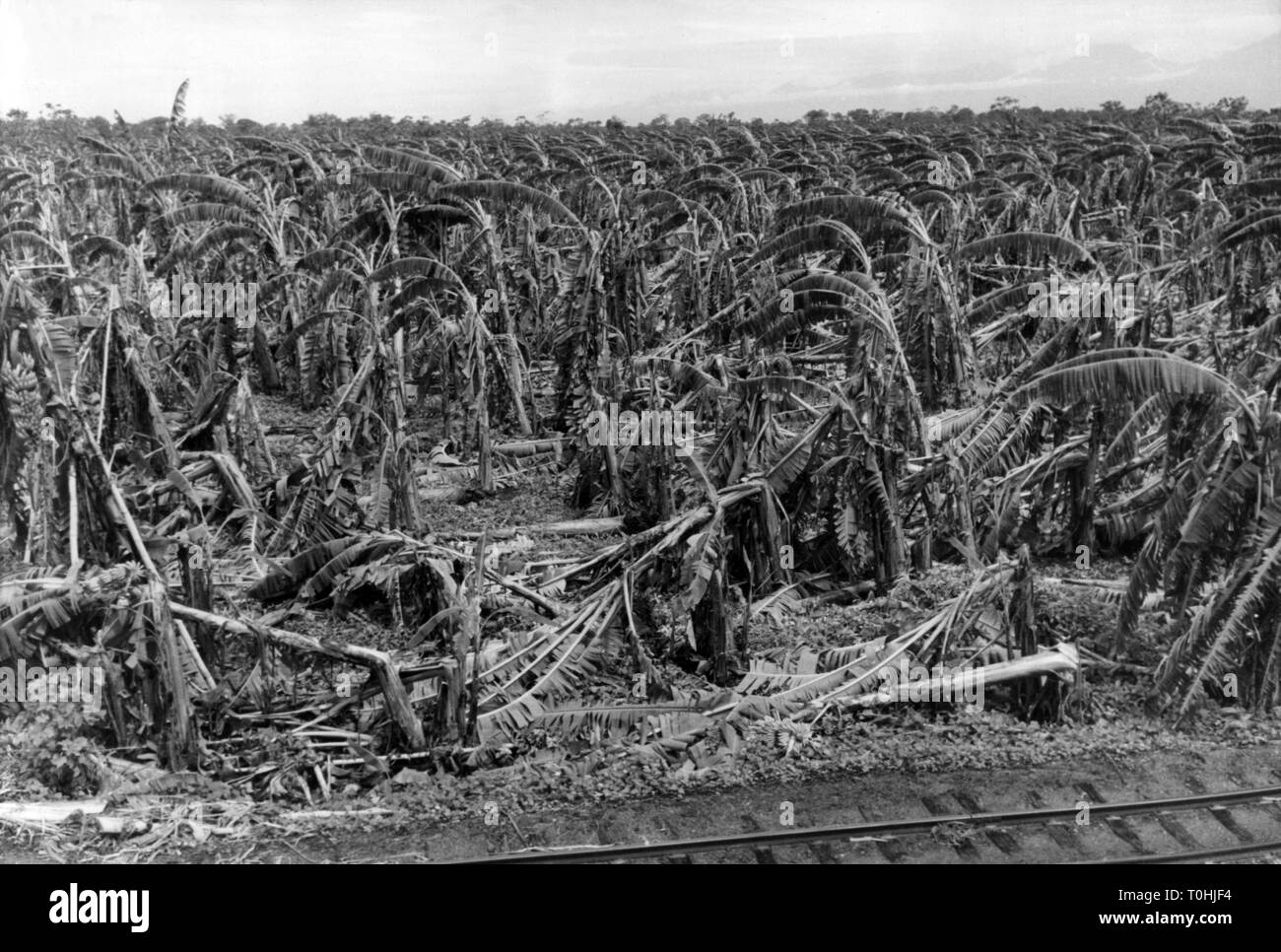 geography / travel, Guatemala, natural disasters / catastrope ...