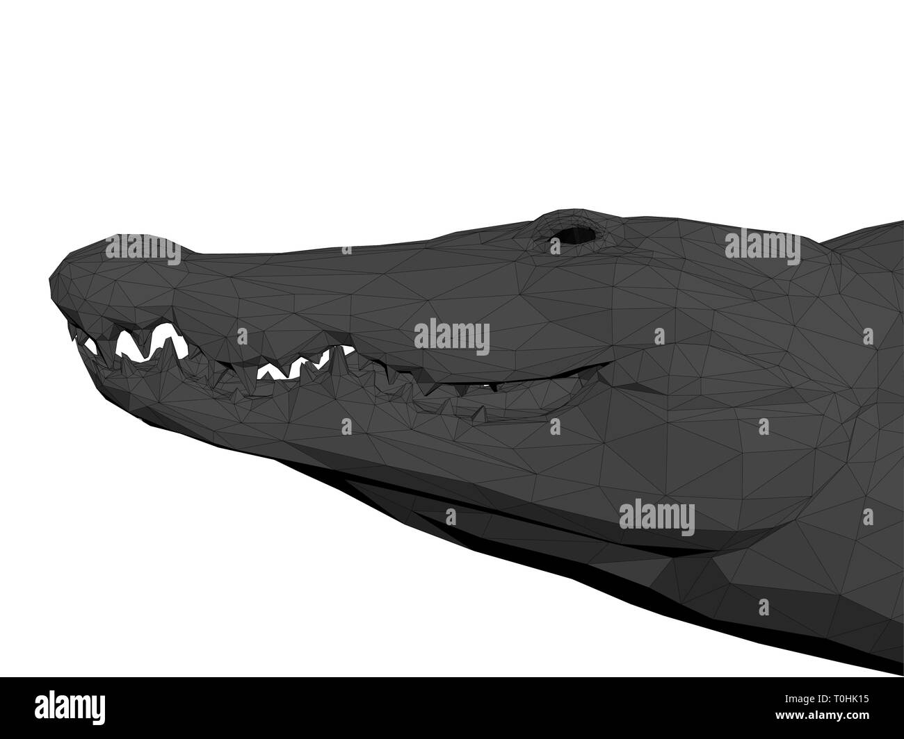 Polygonal crocodile head. 3D Isolated crocodile head. Vector ...