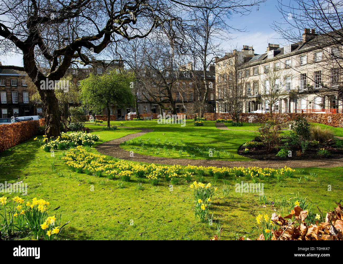 Private gardens in Rutland Square, Edinburgh Stock Photo - Alamy