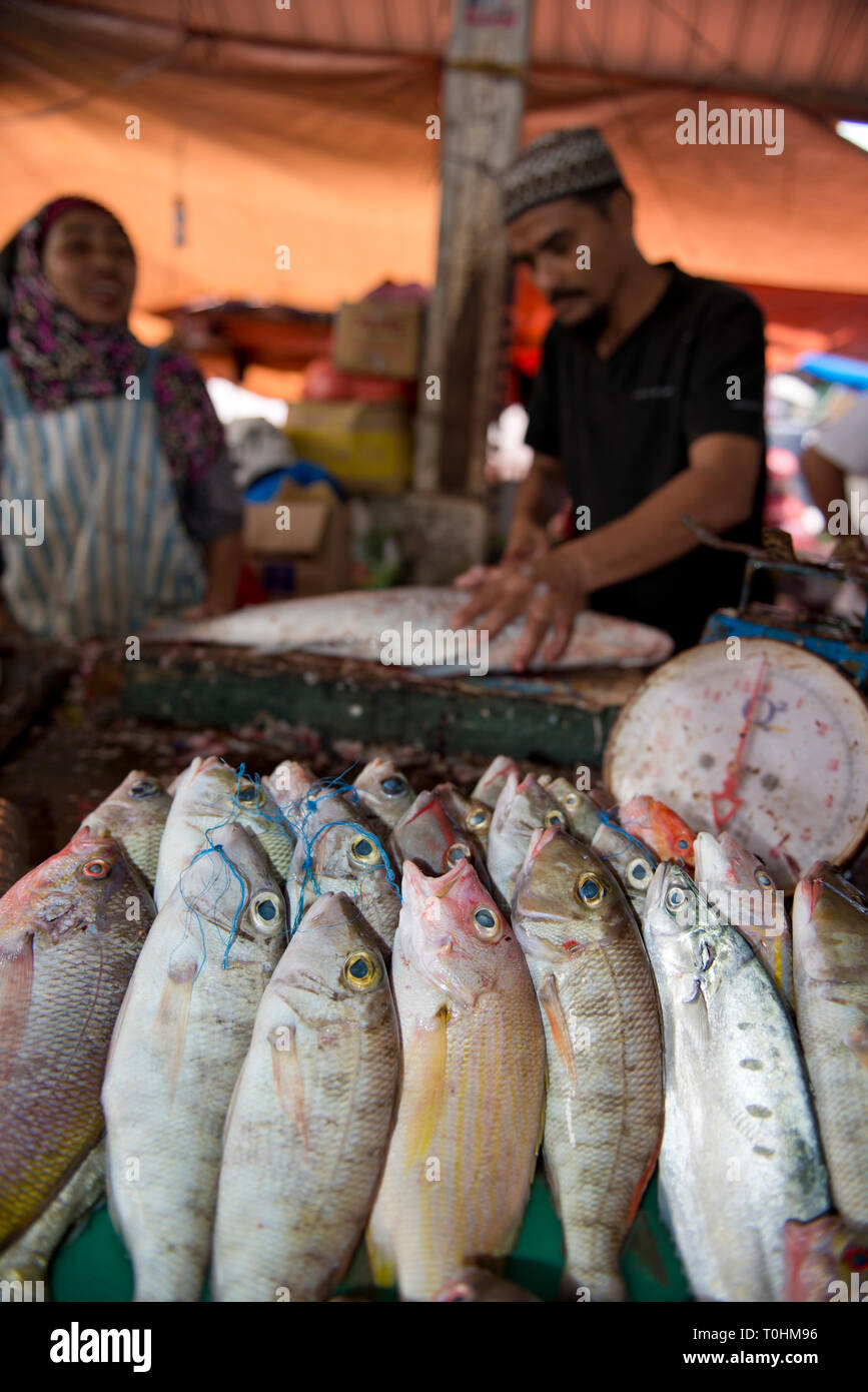Fish wearing hat hi-res stock photography and images - Alamy
