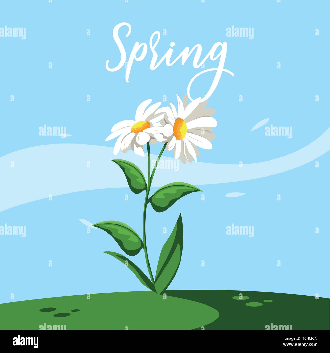 beautiful spring flower in grass nature scene vector illustration ...