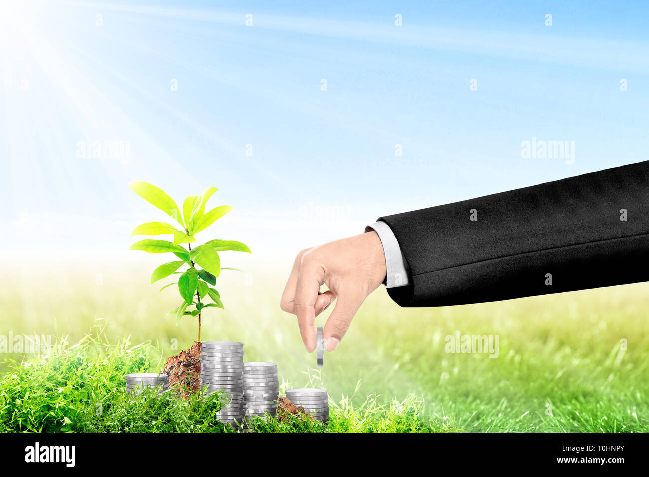 Grass banking hi-res stock photography and images - Alamy