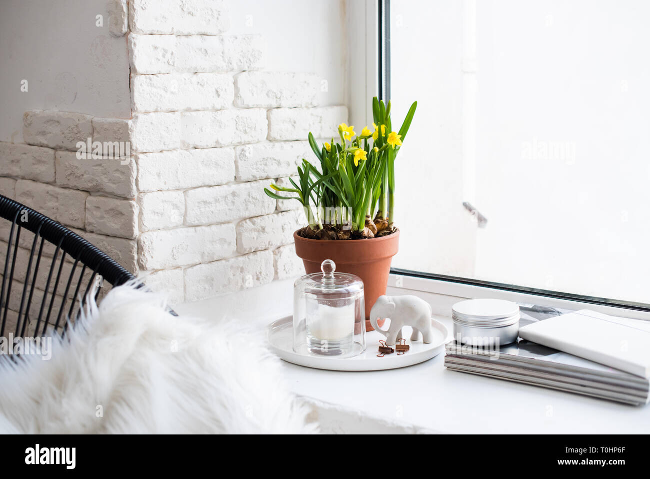 Springtime home decor with yellow daffodils on windowsill in white room ...