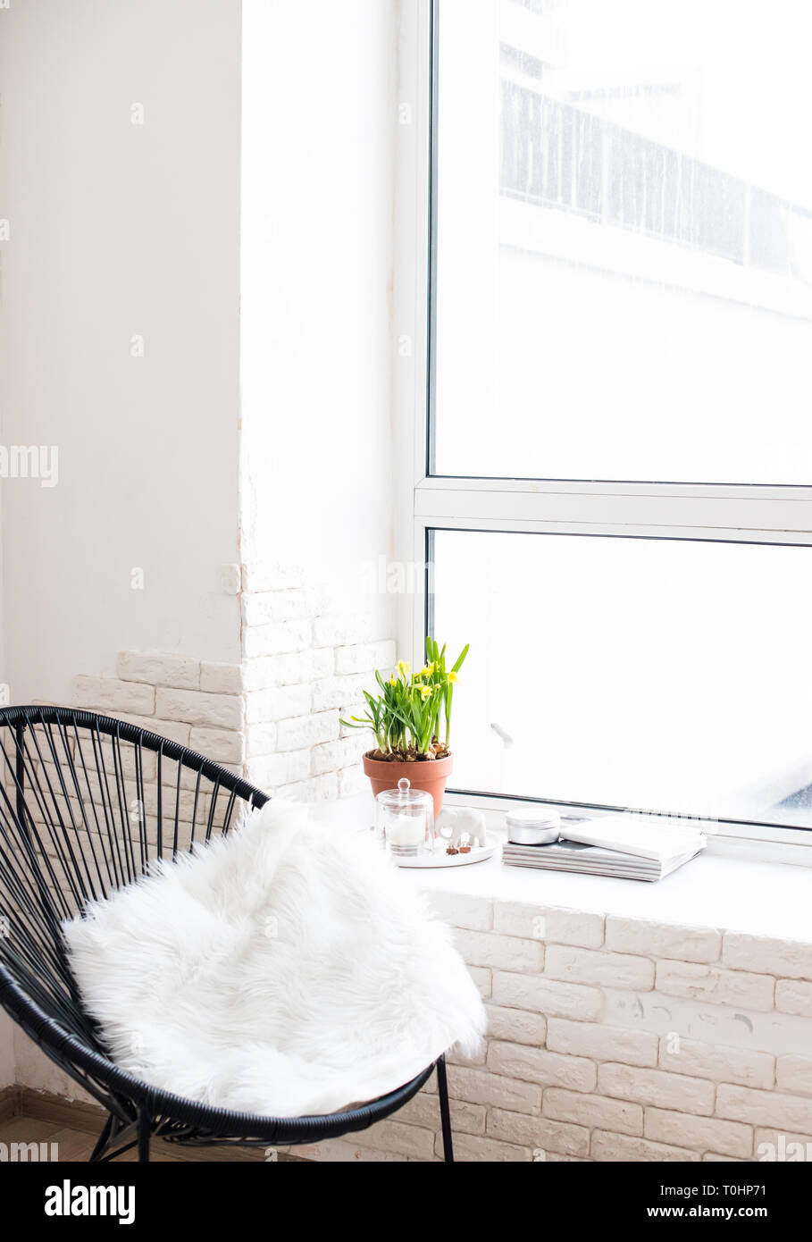 Springtime home decor with yellow daffodils on windowsill in white room ...