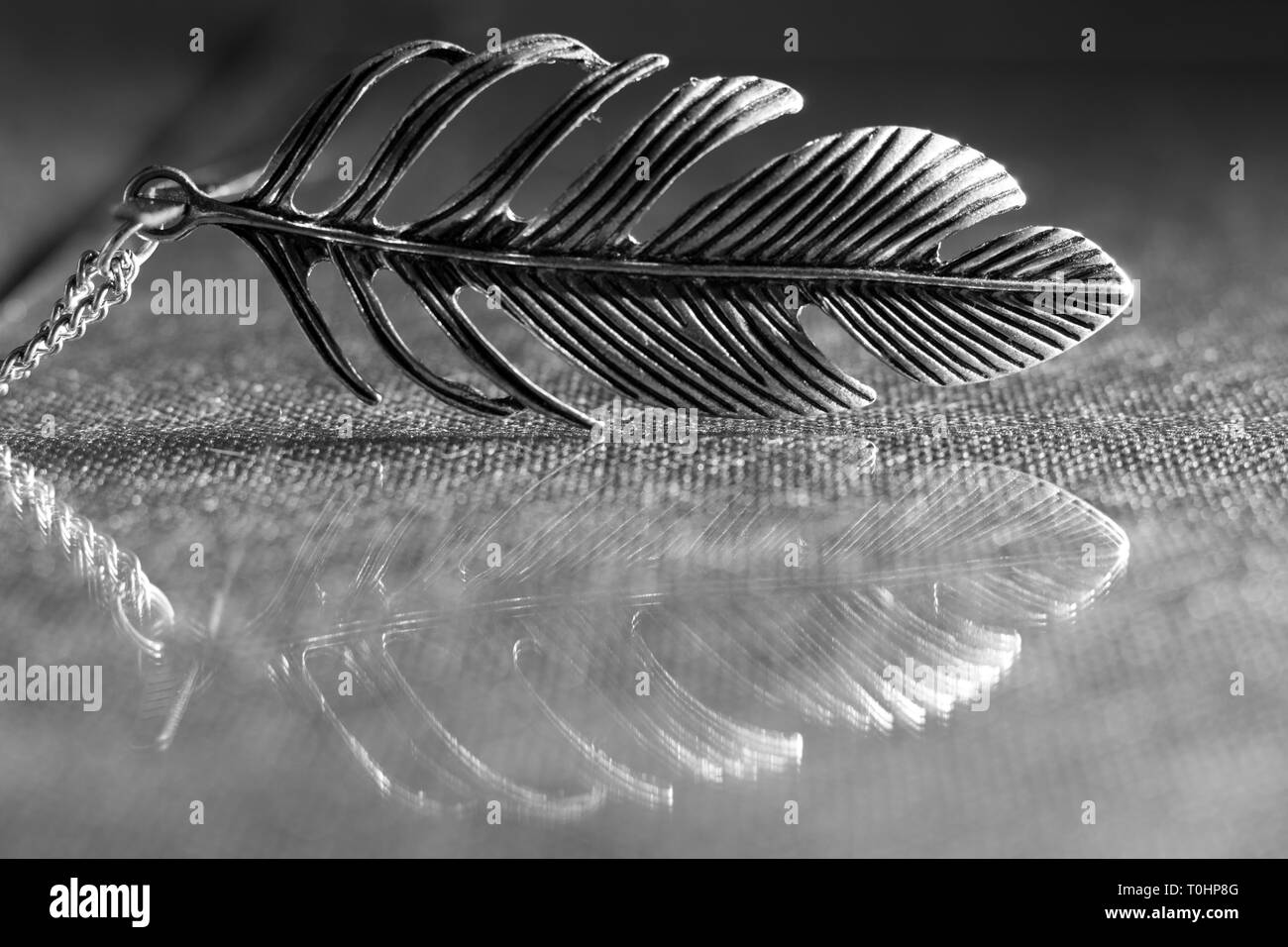 steel feather on necklace Stock Photo - Alamy