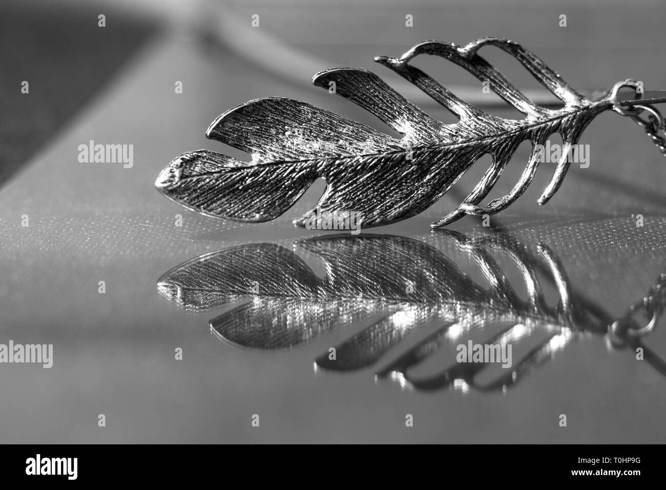 steel feather on necklace Stock Photo - Alamy