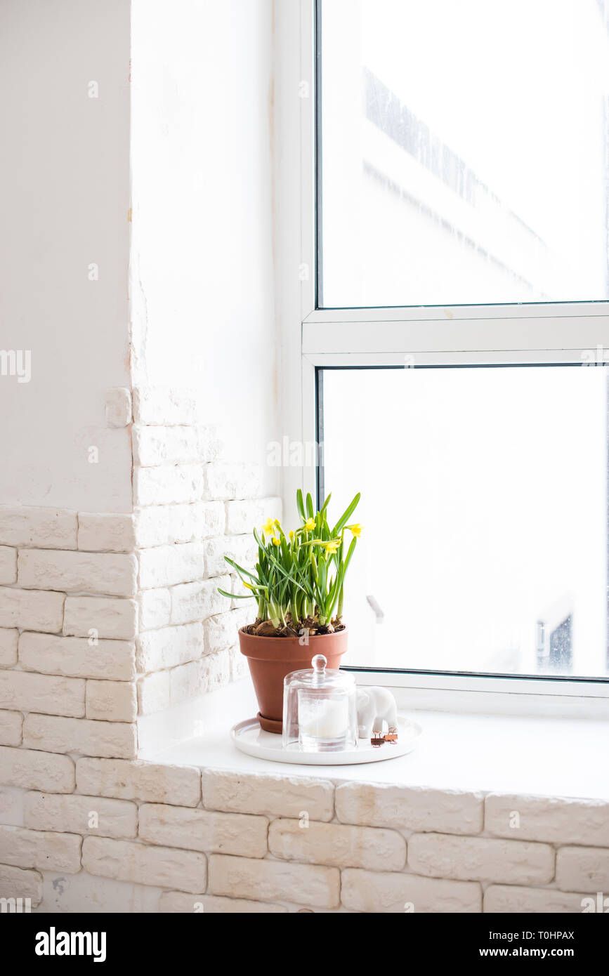 Springtime home decor with yellow daffodils on windowsill in white room ...