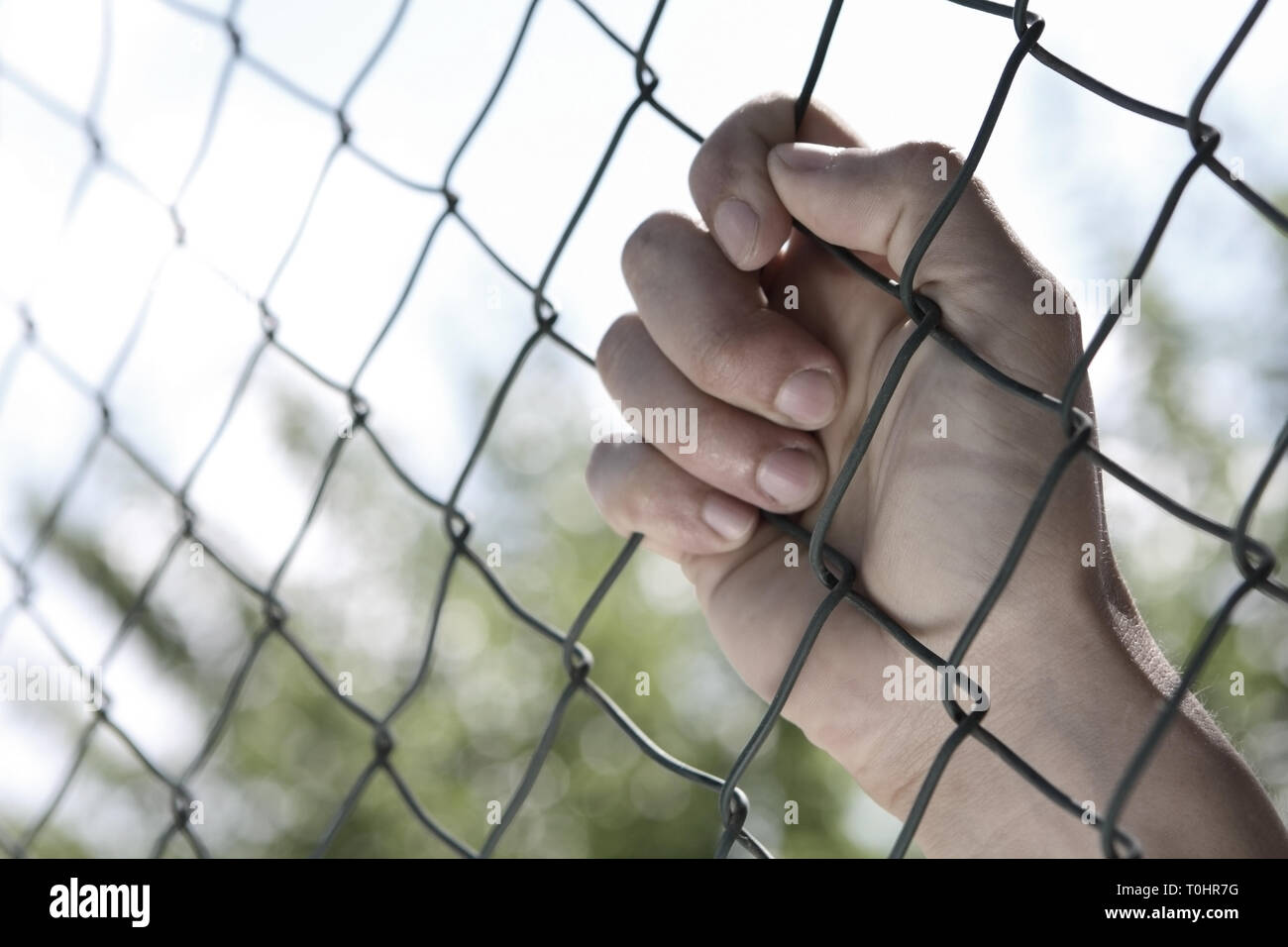 Male hand on Fence Stock Photo - Alamy