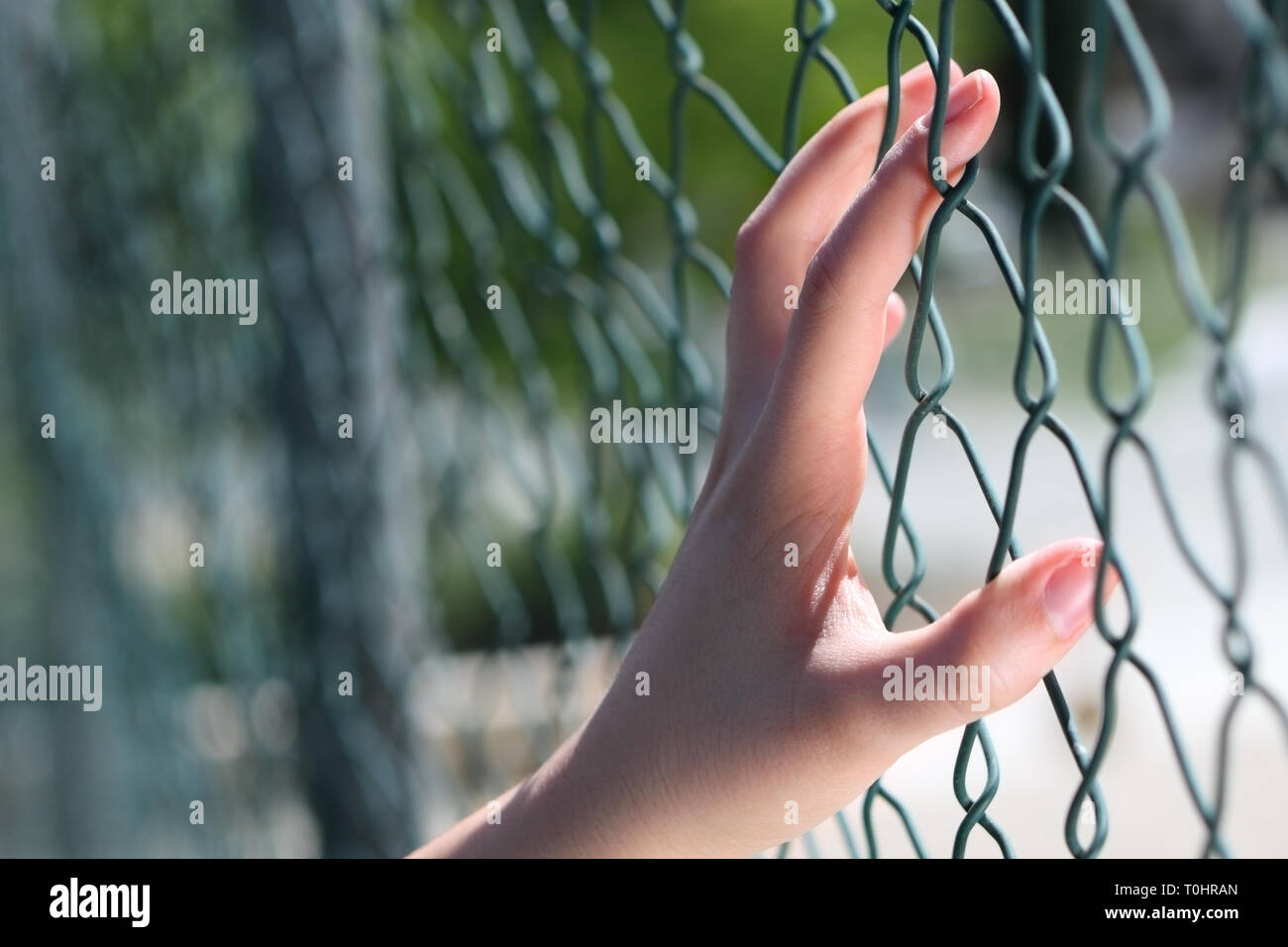 Reaching through fence hi-res stock photography and images - Alamy