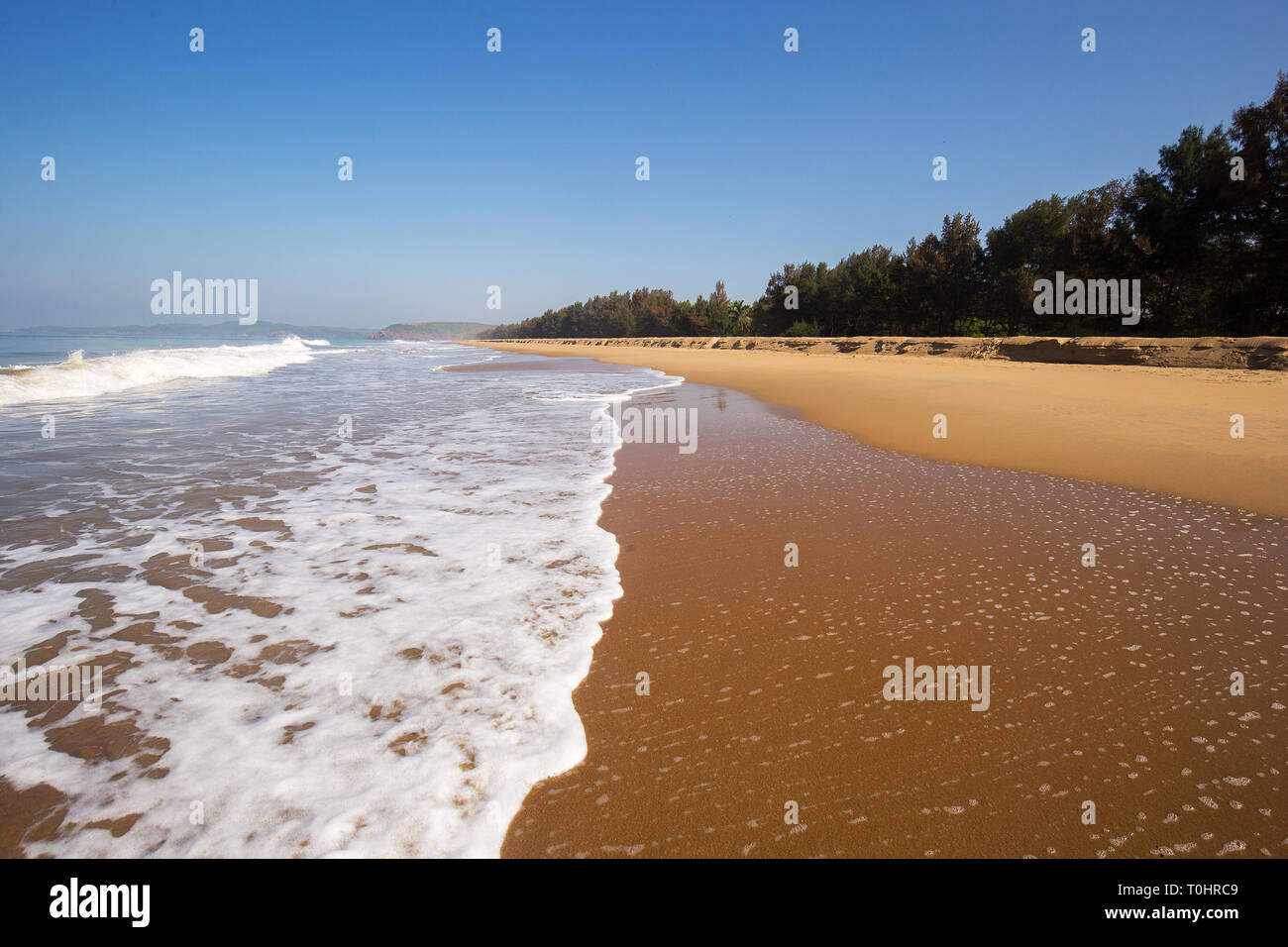 Nirvana Beach - majestic South India ! February Stock Photo - Alamy