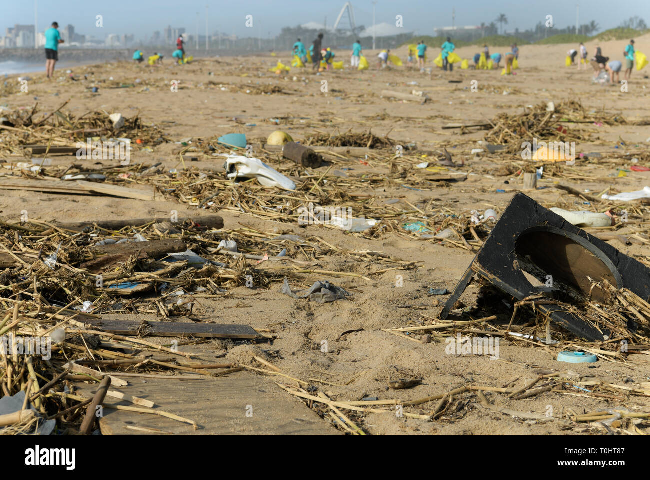 Durban, KwaZulu-Natal, South Africa, plastic pollution, citizen ...