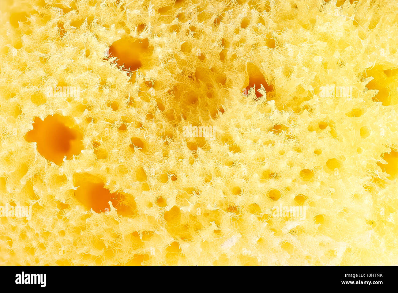 Sponge close up hi-res stock photography and images - Alamy