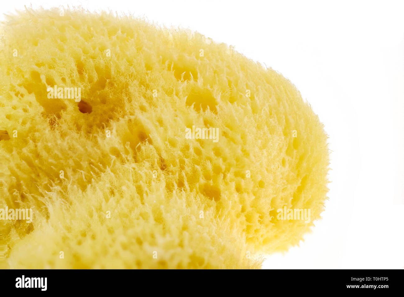 Sponge close up detail hi-res stock photography and images - Alamy