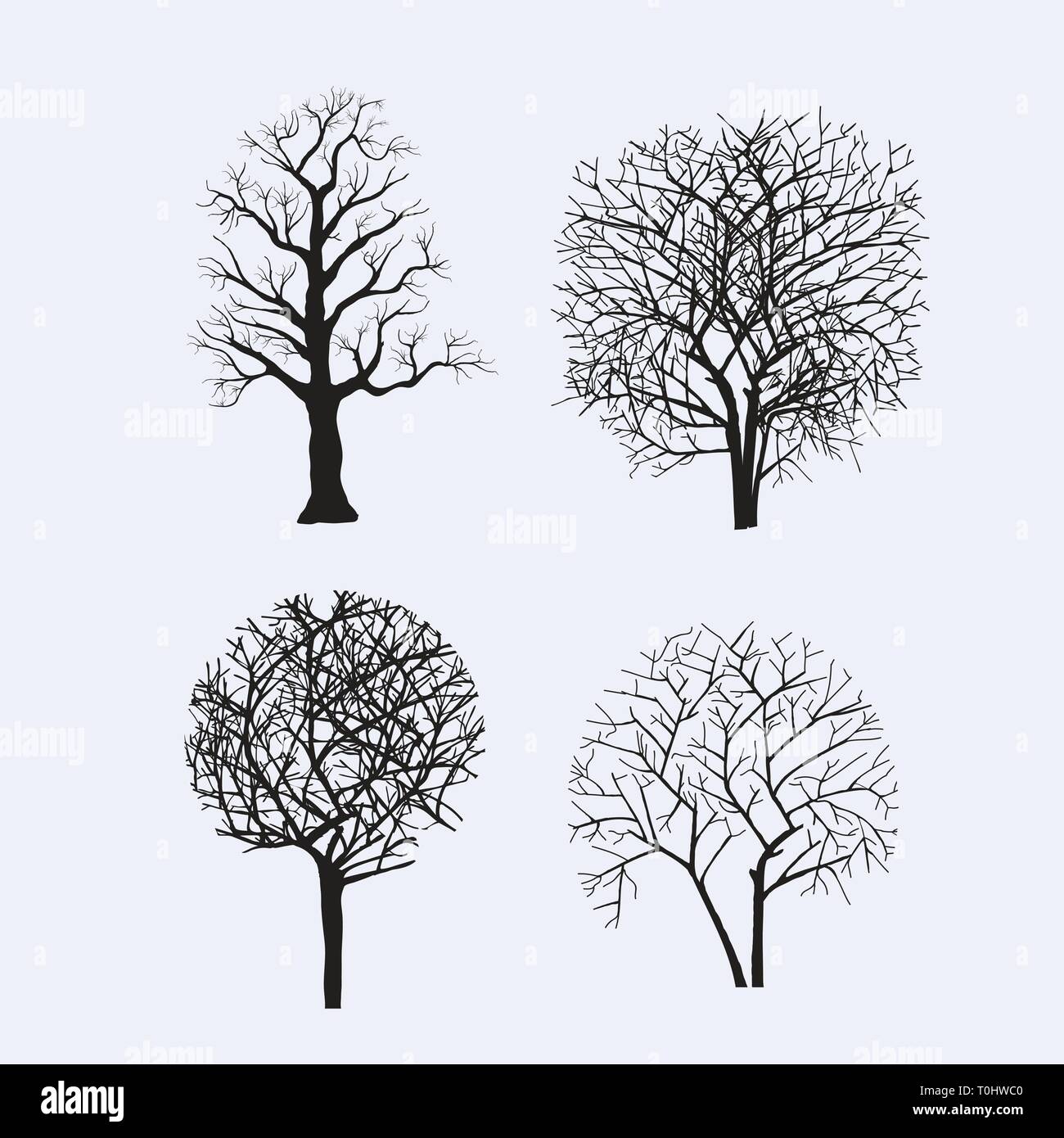 tree silhouettes for design Stock Vector Image & Art - Alamy