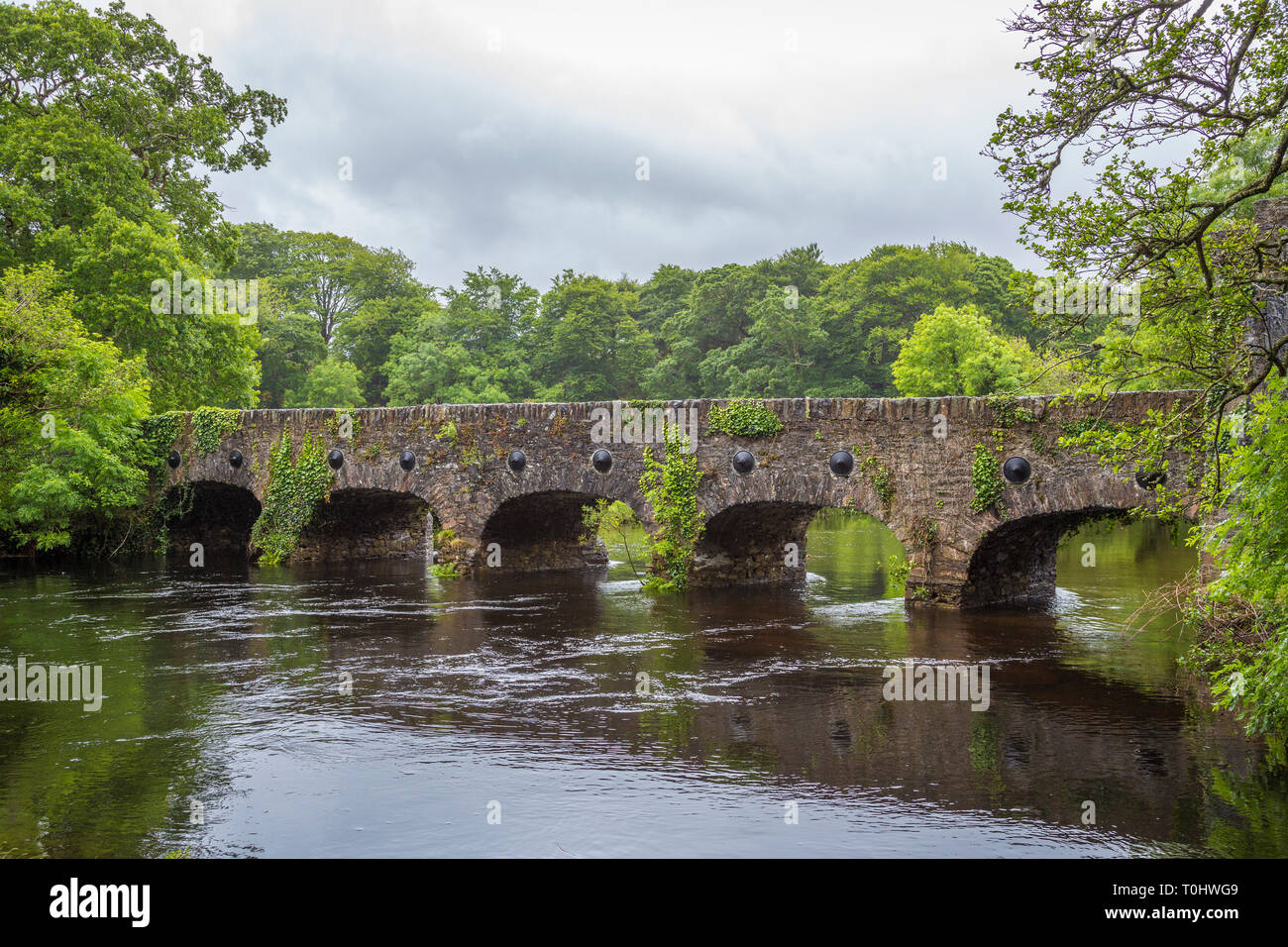 Bridge to Lord Brendans Cottage, Killarney Nationalpark, Co Kerry ...