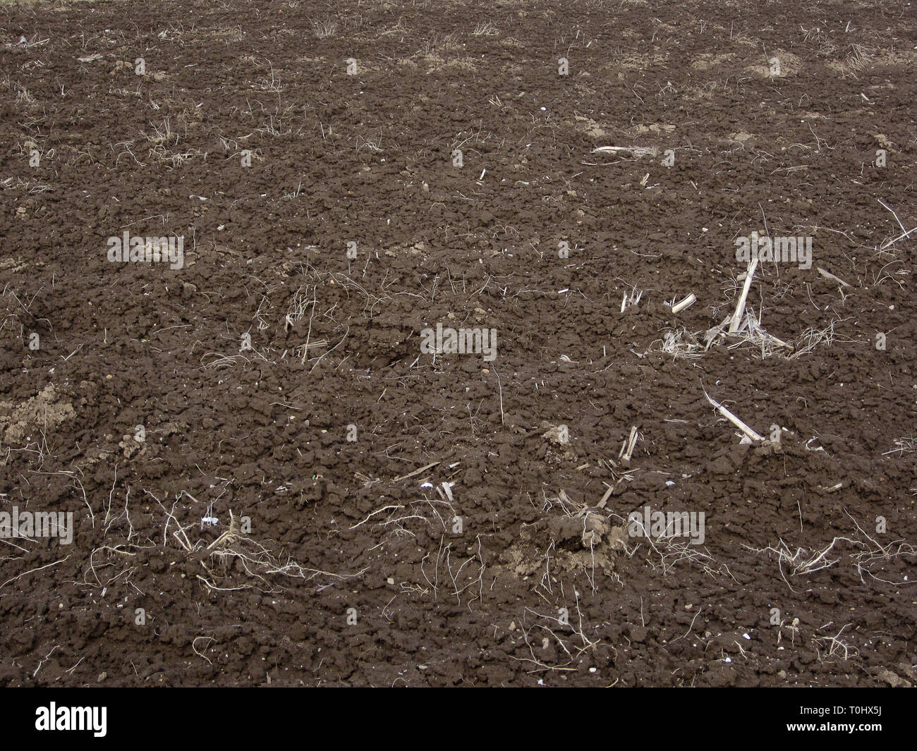 Ploughed soil texture hi-res stock photography and images - Alamy
