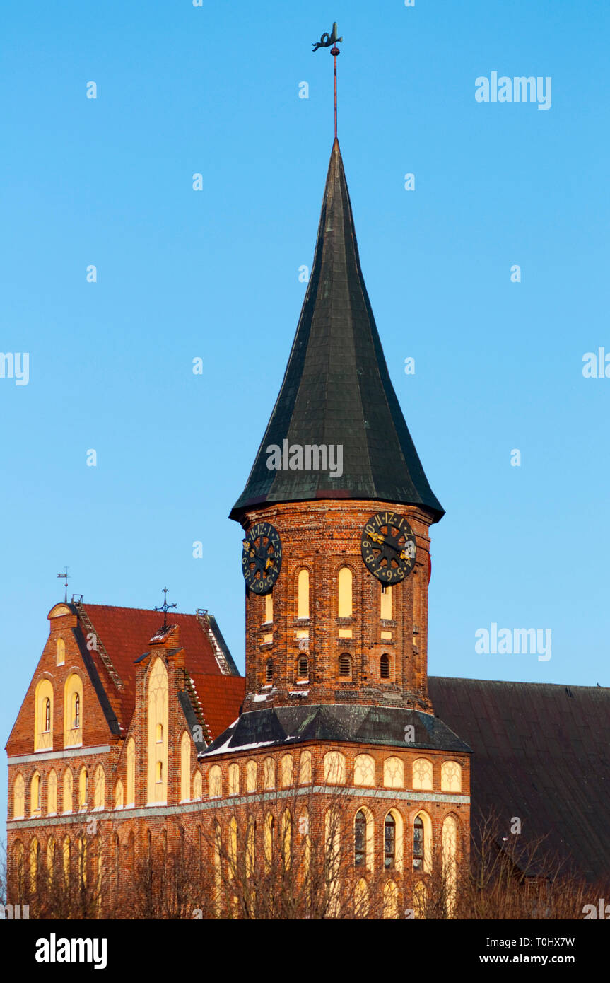 Konigsberg Cathedral. is a Brick Gothic style building in Kaliningrad ...
