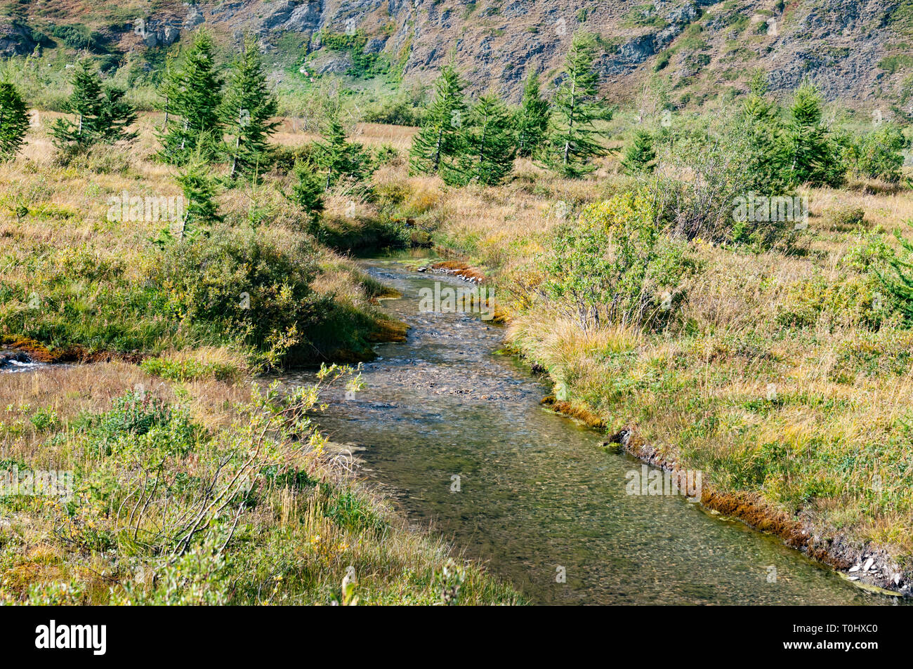 Western Alps are the western part of the Alpine range Stock Photo - Alamy
