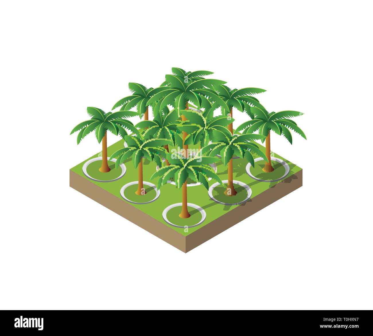 Shape of palm trees Cut Out Stock Images & Pictures - Alamy