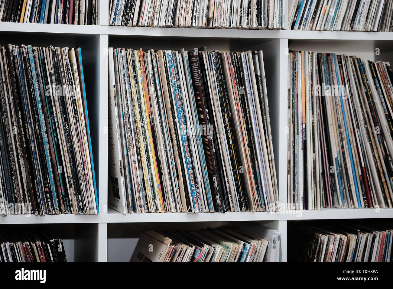 View of a record collection Stock Photo - Alamy