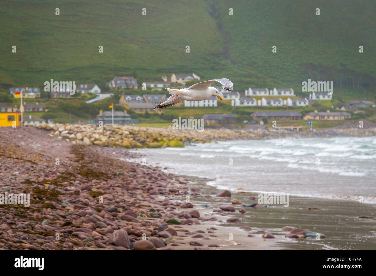 Rossbeigh strand hi-res stock photography and images - Alamy