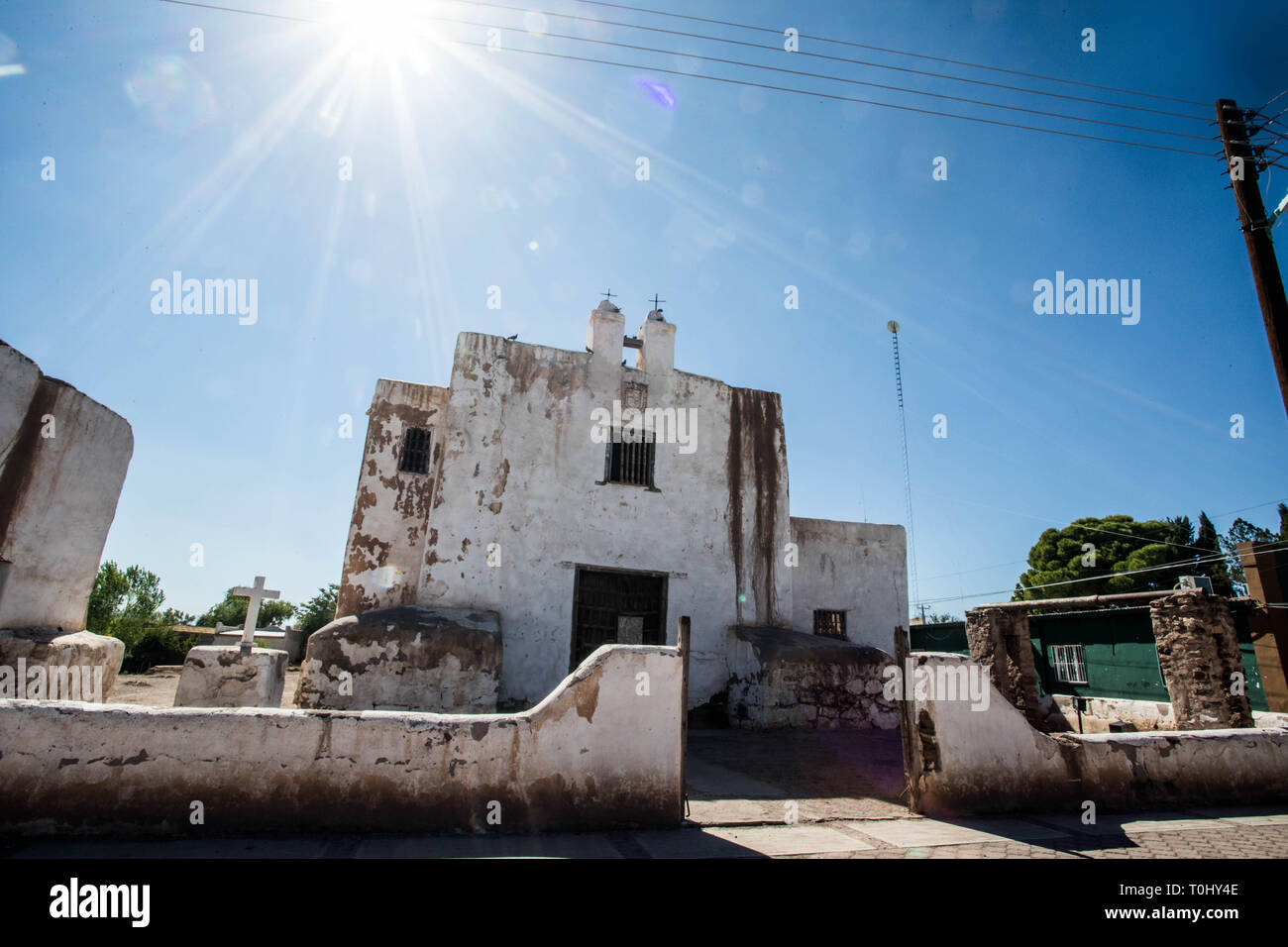 Chihuahua mexicano hi-res stock photography and images - Alamy