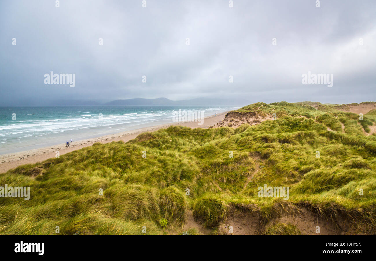 Rossbeigh strand hi-res stock photography and images - Alamy