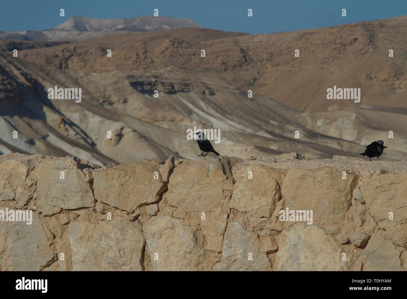 ISRAEL - MASADA - BUILT UNDER THE REIGN OF HEROD THE GREAT (37 AND 31 ...
