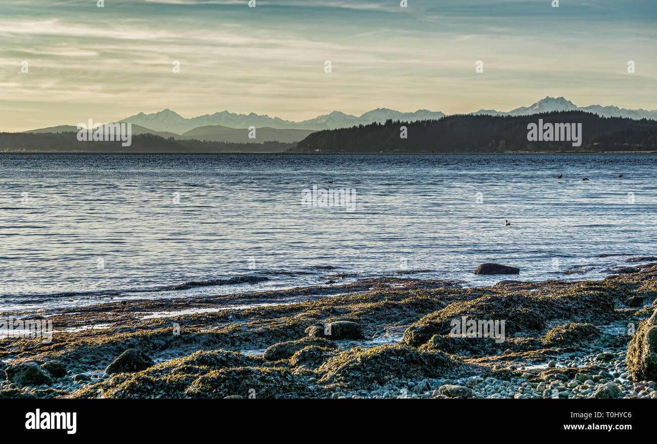 A view of the Olympic Mountains across the Puget Sound Stock Photo - Alamy