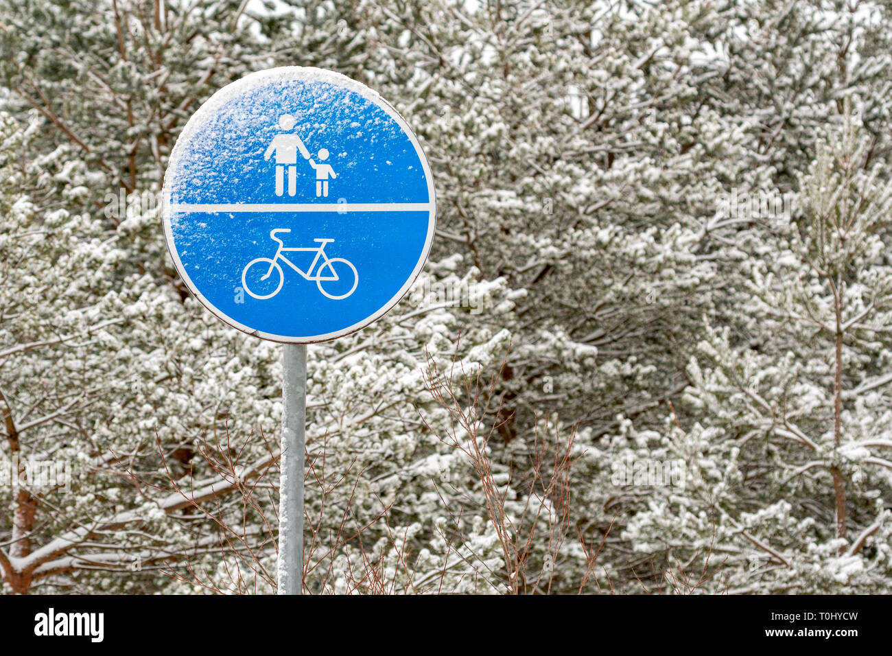 Snow covered sign of a bike path and a pedestrian in the park in winter ...