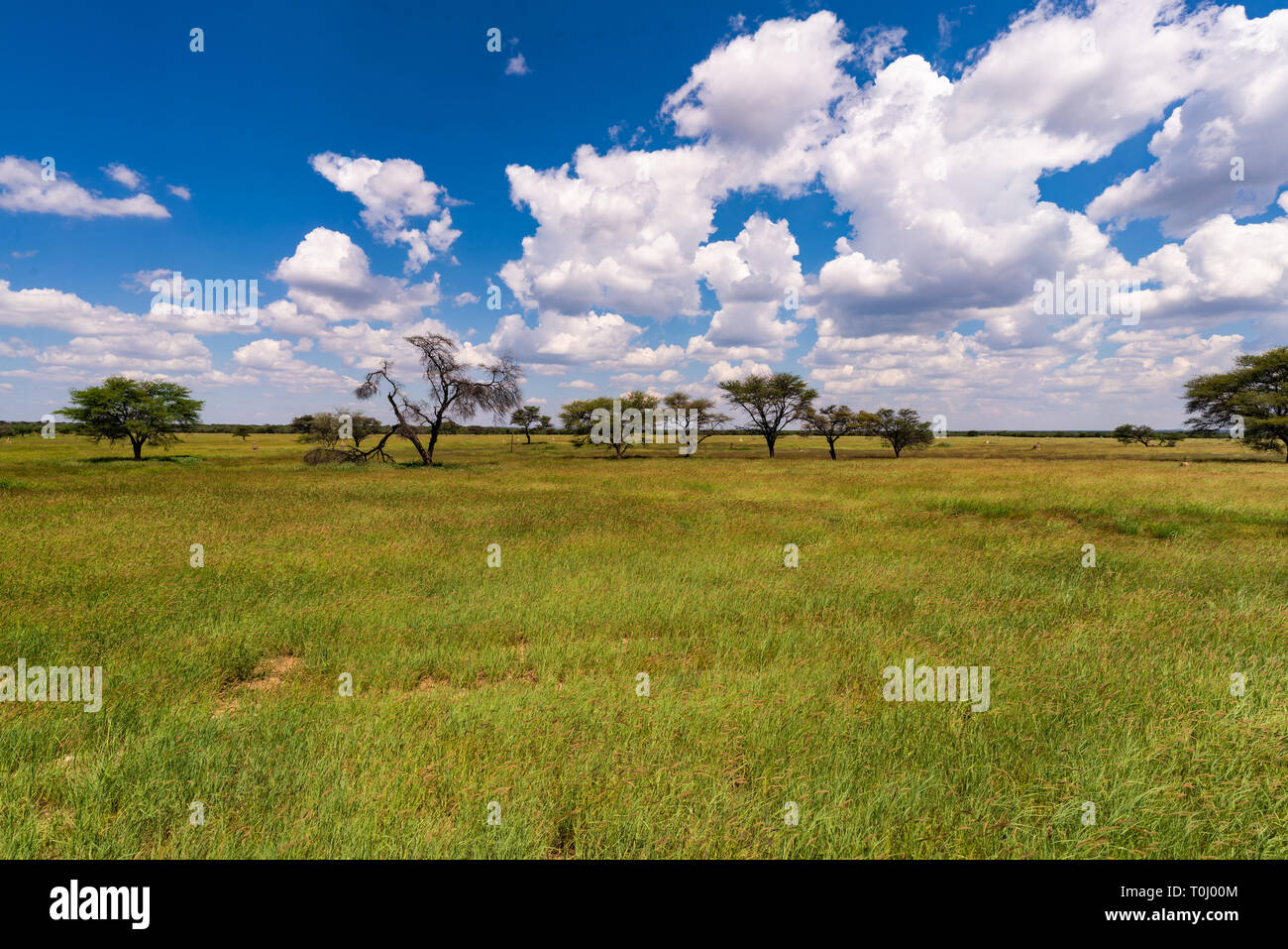 Frans Indongo Lodge Stock Photo - Alamy