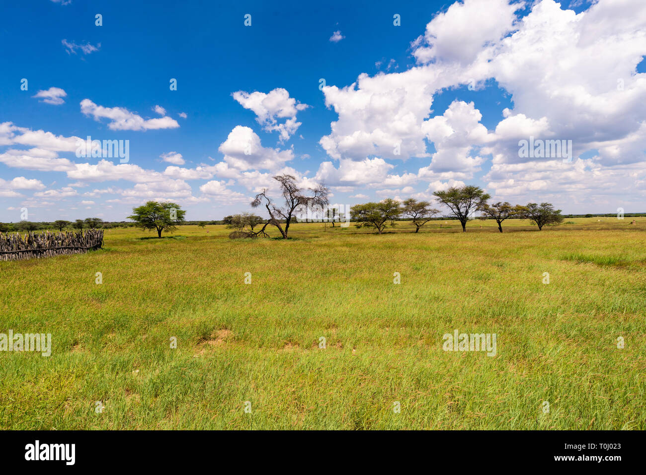 Frans Indongo Lodge Stock Photo - Alamy