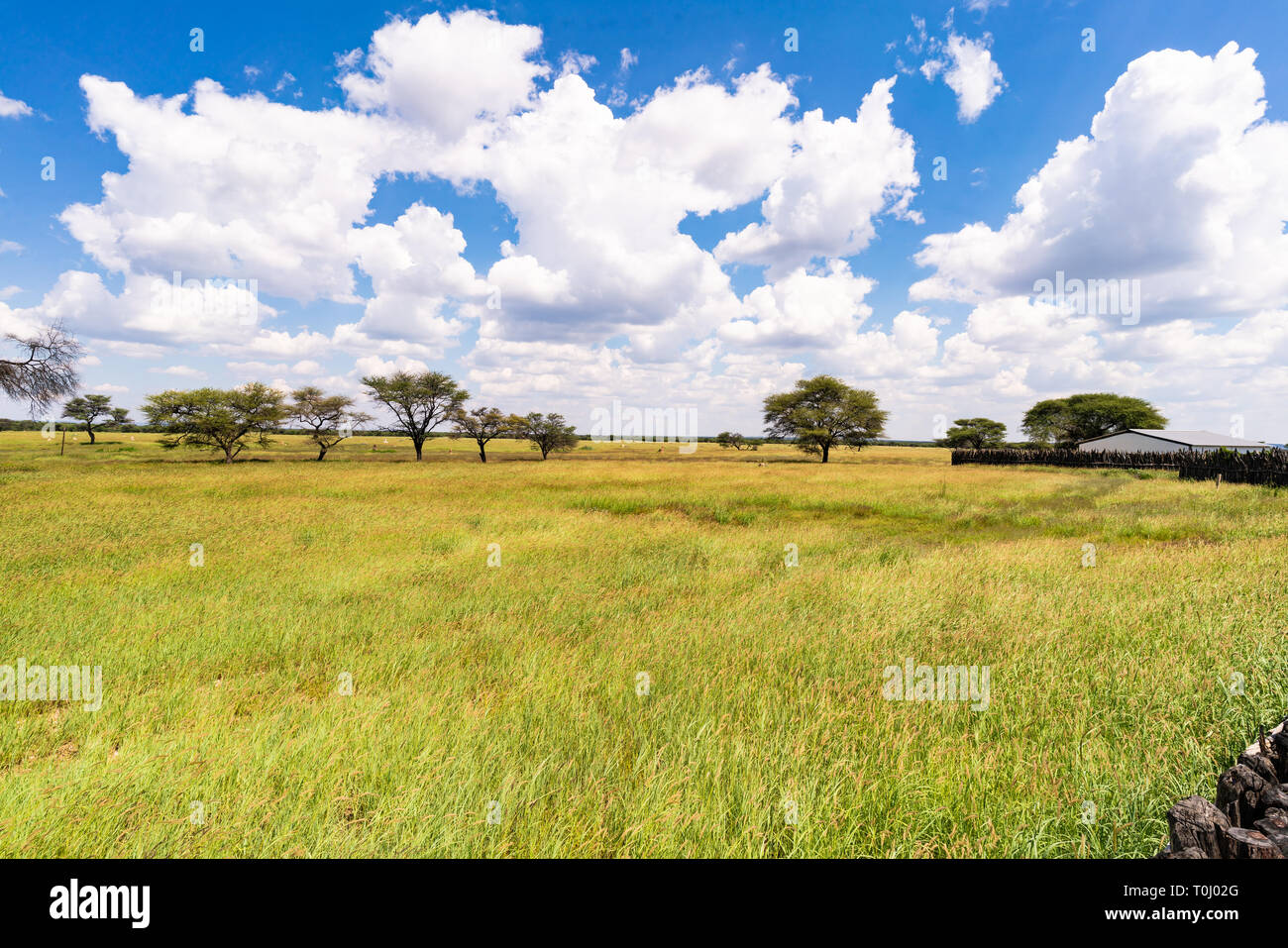 Frans indongo lodge hi-res stock photography and images - Alamy