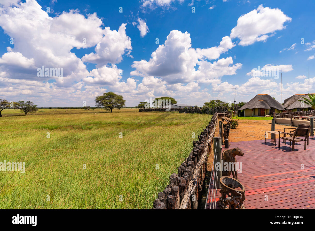 Indongo hi-res stock photography and images - Alamy