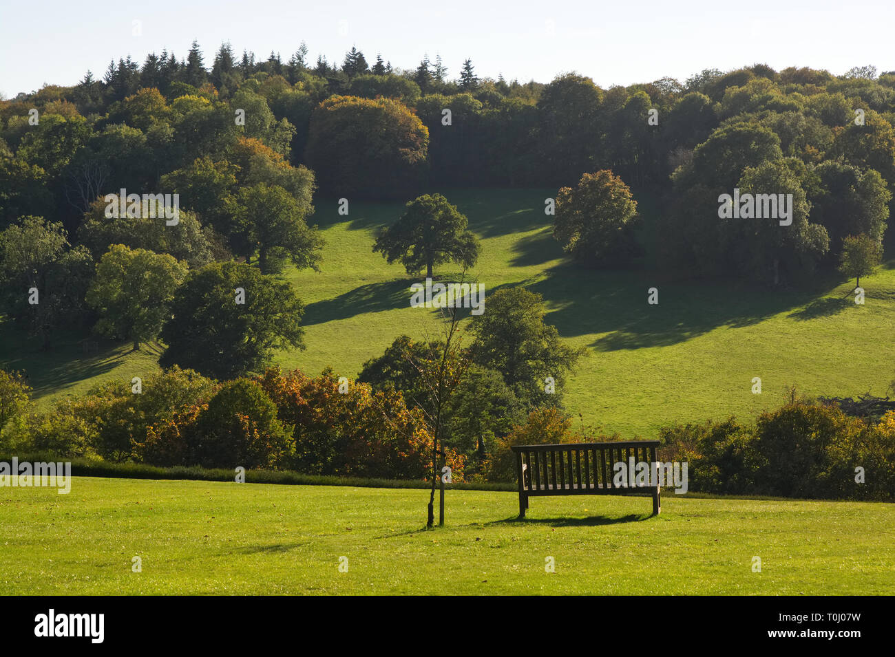 Bench on grass hi-res stock photography and images - Alamy