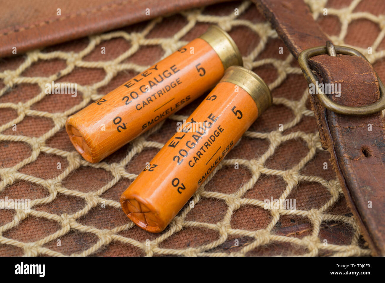 Eley paper case cartridges paper cased cartridges hi-res stock ...