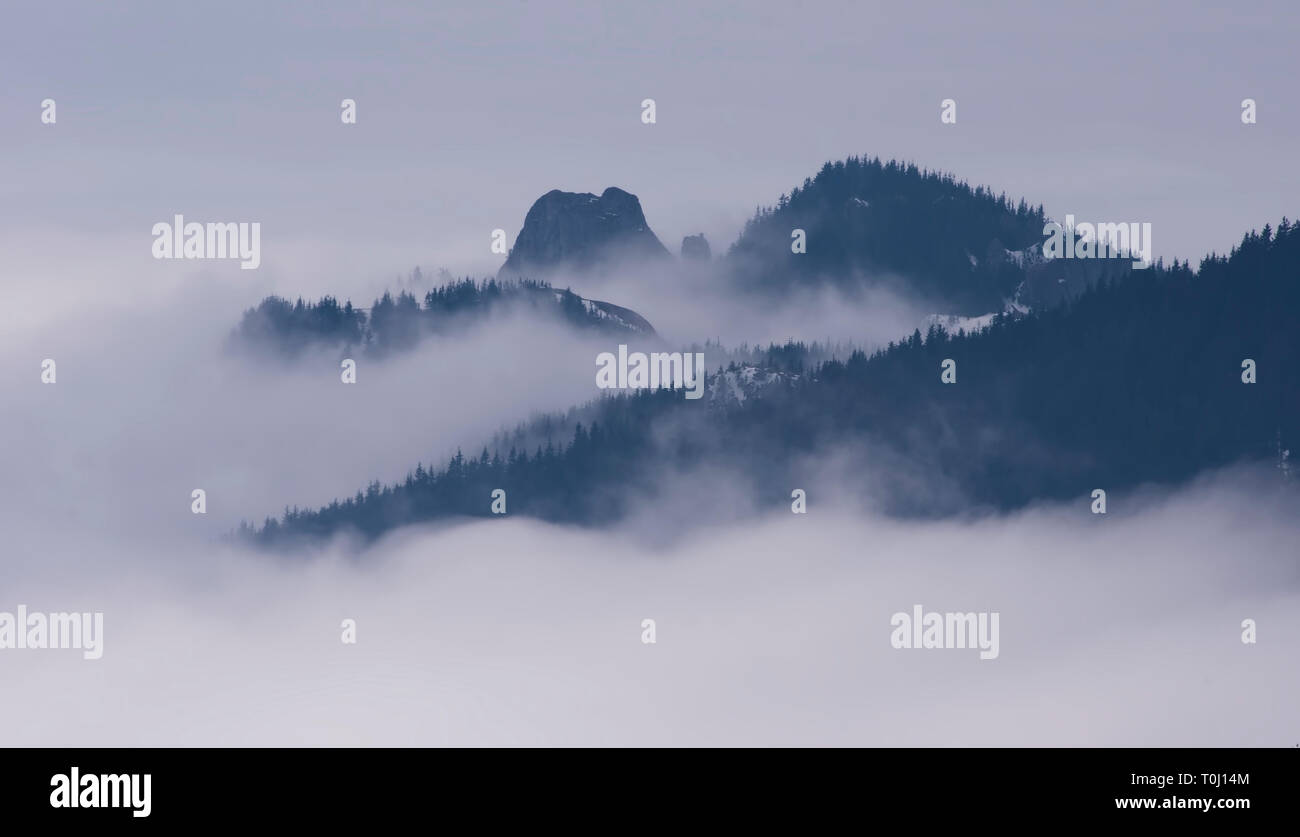 Mystic mountain adventure park hi-res stock photography and images - Alamy