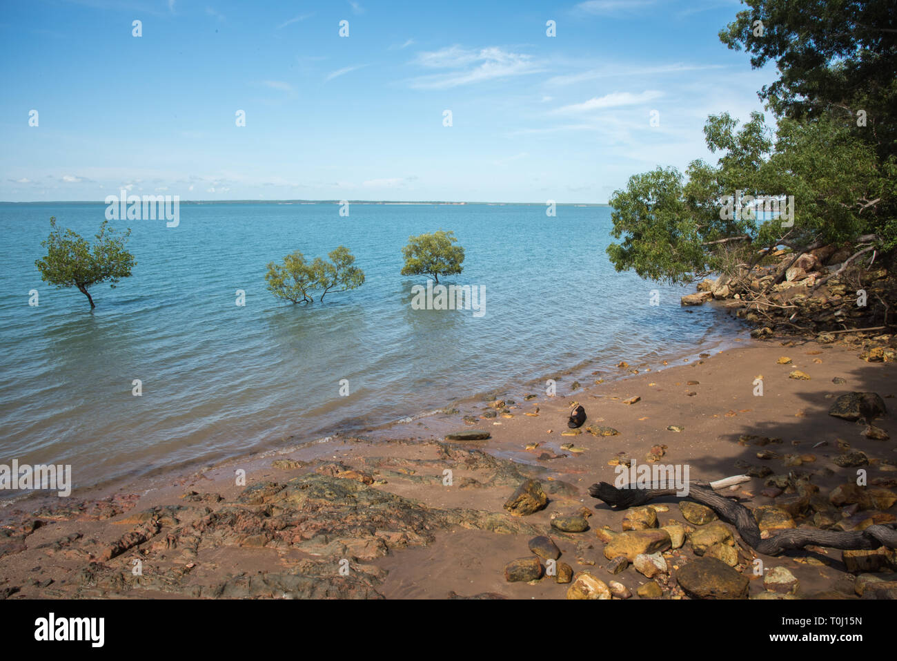 Natural greenery and remote Lameroo Beach at Bicentennial Park in ...