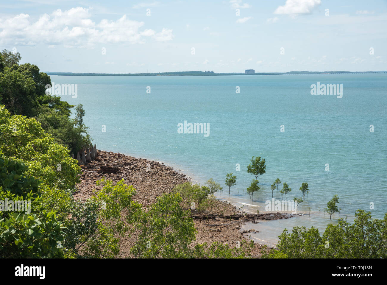 Elevated view over the Timor Sea shoreline with lush greenery in Darwin ...