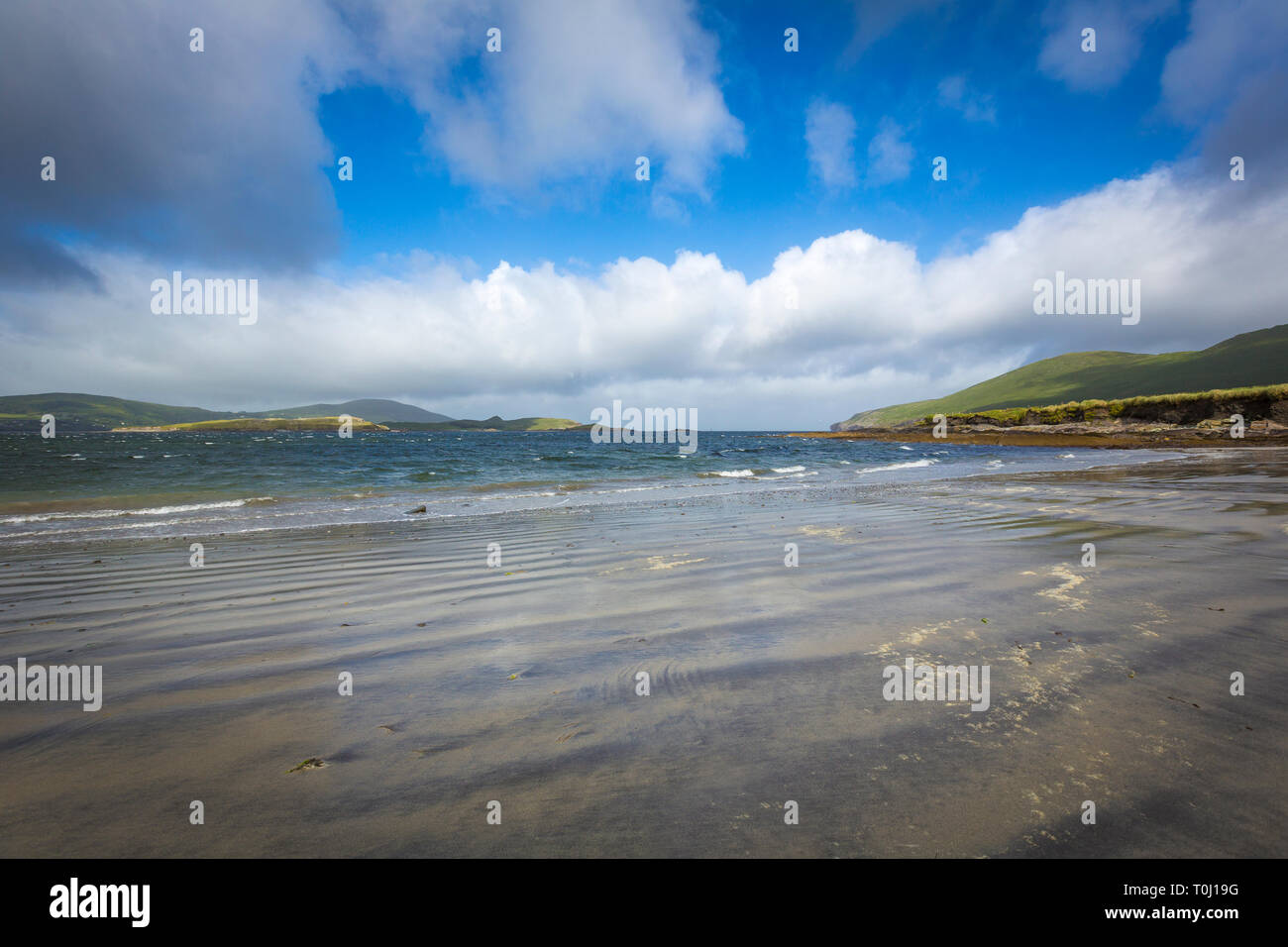 Forsight hi-res stock photography and images - Alamy